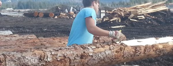 Contractor's Corner - Caribou Creek Log and Timberframe Homes